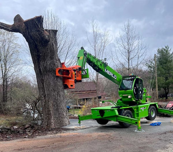 Tree Care Services in Northwood, NH | Arborcare Tree Service